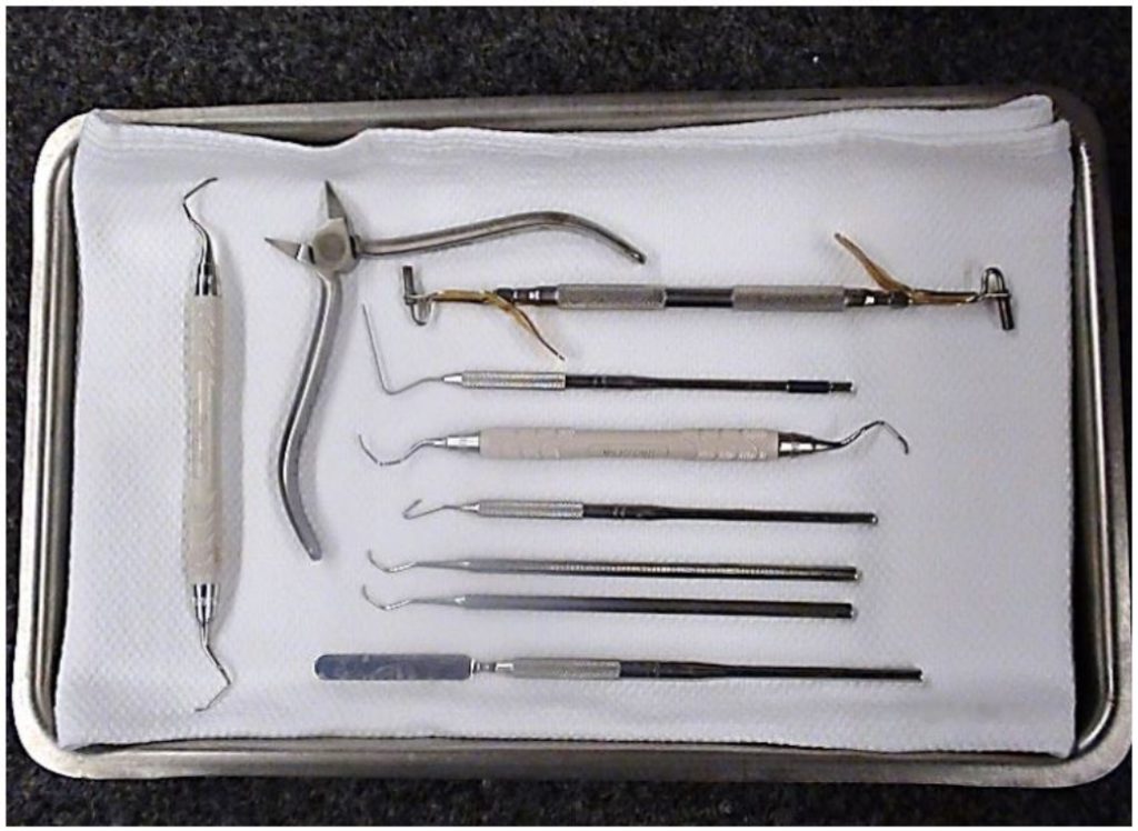 unwrapped instruments on tray for sterilization - Statim USA Autoclave ...